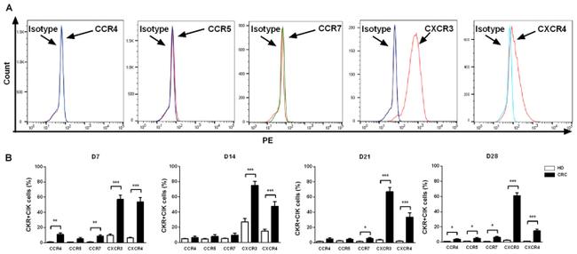 CD197 (CCR7) Antibody, APC (17-1979-42)