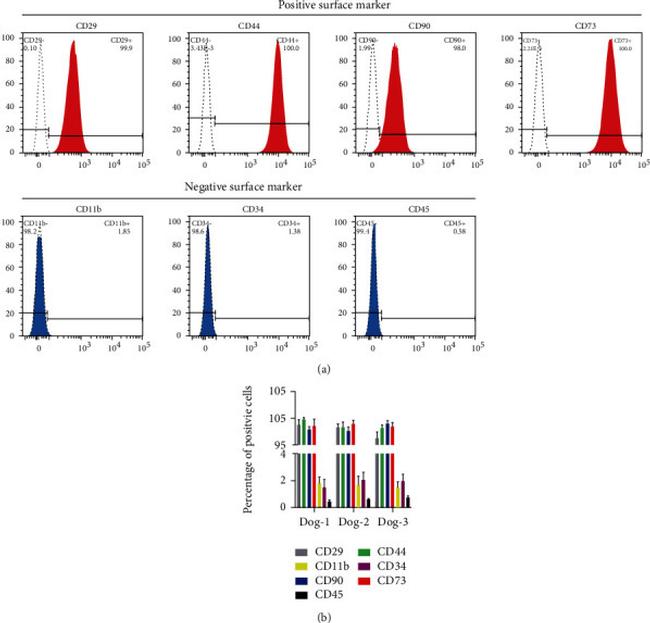 CD45 Antibody, eFluor™ 450 (48-5450-42)