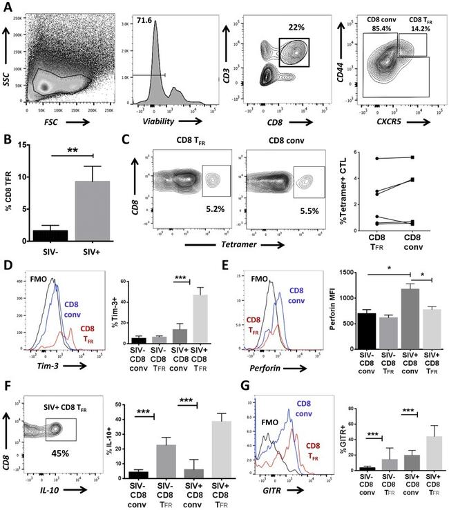 CD8a Antibody, FITC (11-0088-42)