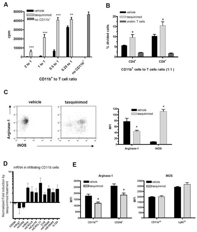 iNOS Antibody (14-5920-82)