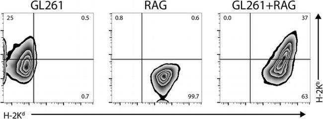 MHC Class I (H-2Kd) Antibody, APC (17-5957-82)