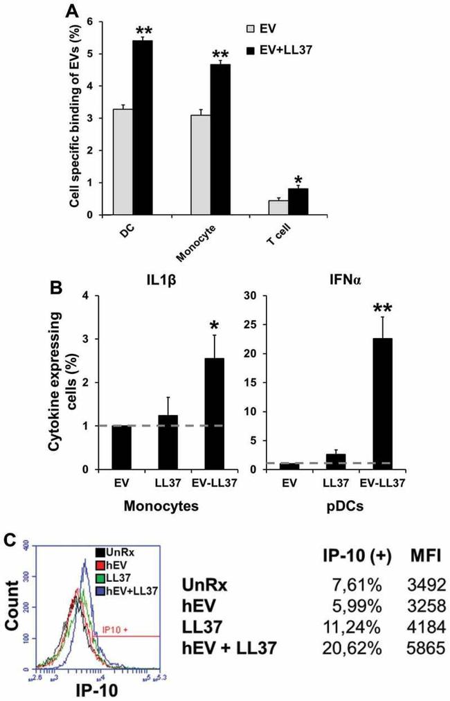 IL-1 beta Antibody (14-7018-81)