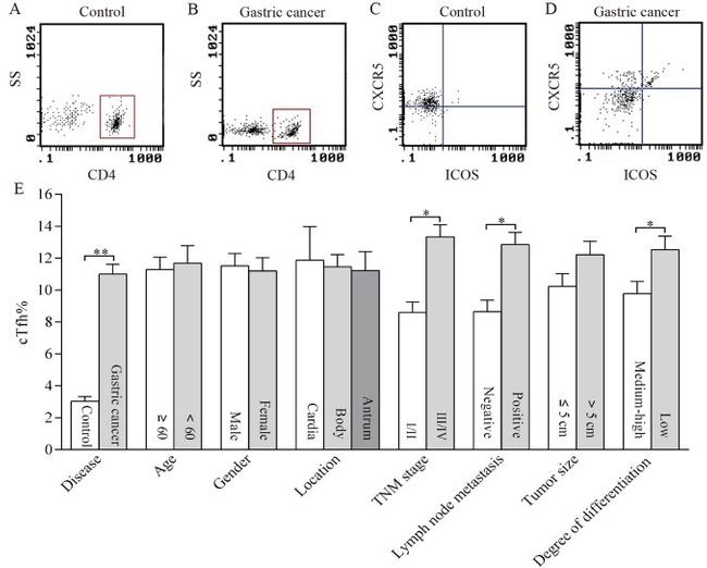 CD278 (ICOS) Antibody (14-9948-82)