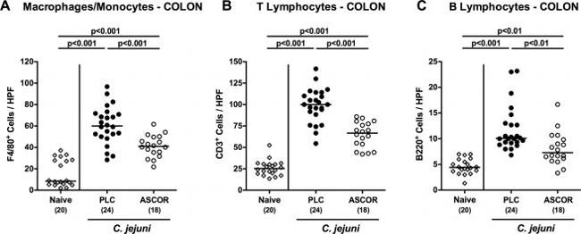 CD45R (B220) Antibody (14-0452-82)