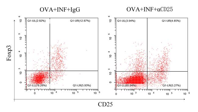 CD25 Antibody, FITC (11-0251-82)