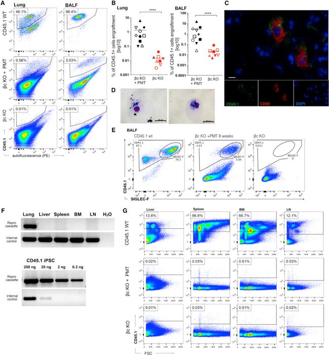CD68 Antibody (14-0681-82)