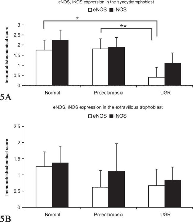 eNOS Antibody (PA1-037)