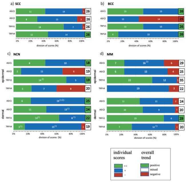 ASIC2 Antibody (PA5-26222)
