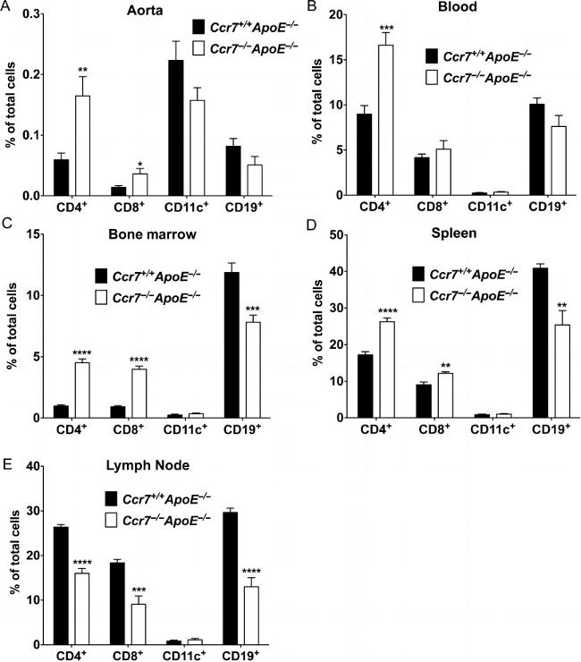 CD8a Antibody, Alexa Fluor™ 488 (53-0081-82)