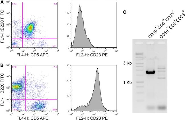 CD23 Antibody (14-0232-81)