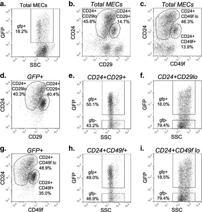 CD24 Antibody (14-0242-82)