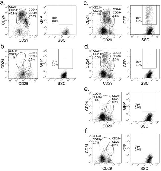 CD24 Antibody (14-0242-82)