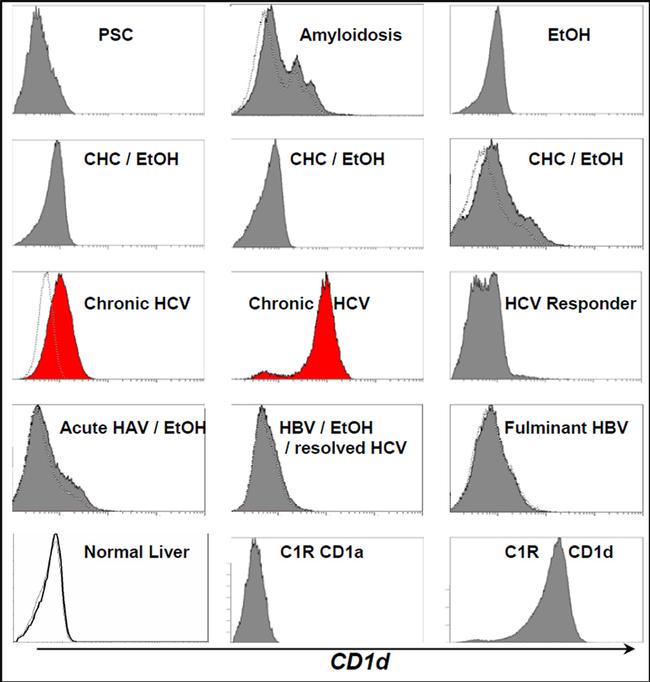 CD1d Antibody (14-0016-82)