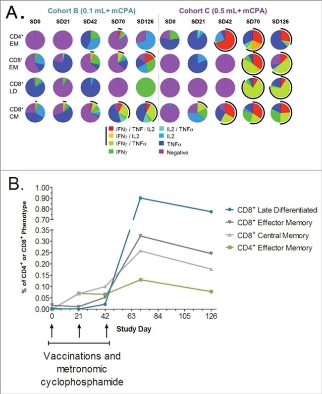 CD8a Antibody, APC (17-0084-82)