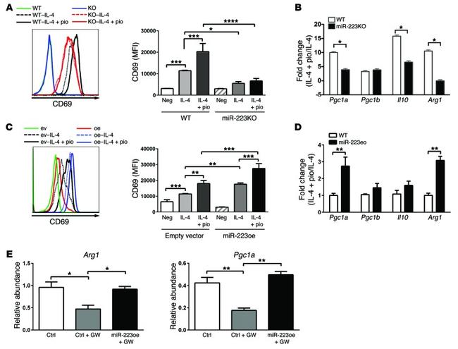 CD69 Antibody, PE (12-0691-82)