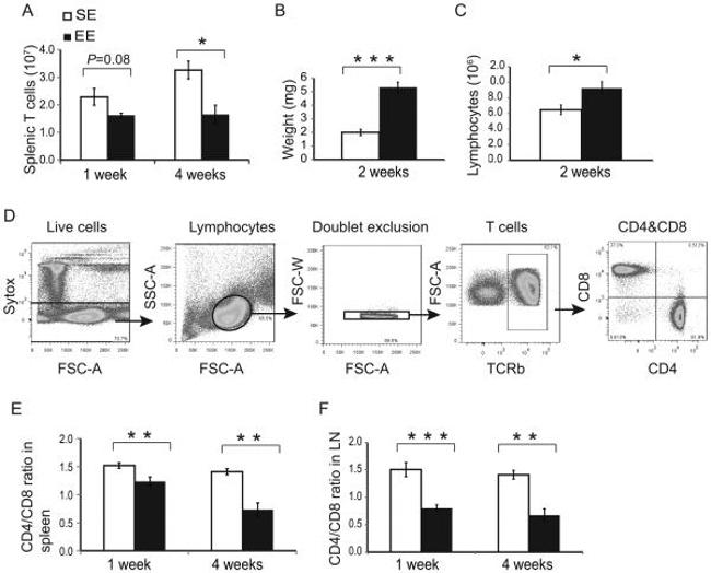 TCR beta Antibody, APC (17-5961-82)