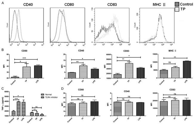 CD80 (B7-1) Antibody, PE (12-0801-82)