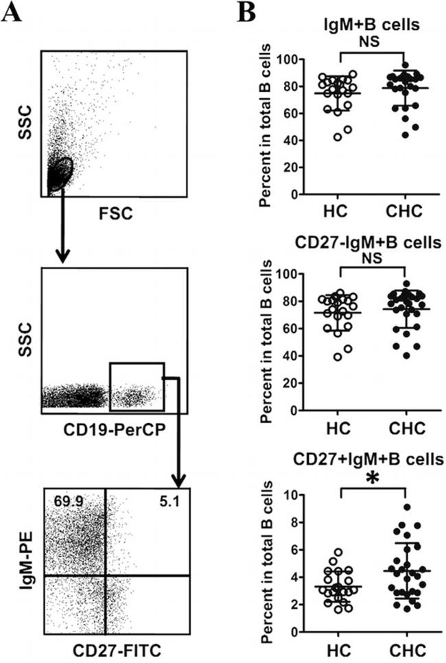 CD27 Antibody, APC (17-0279-42)