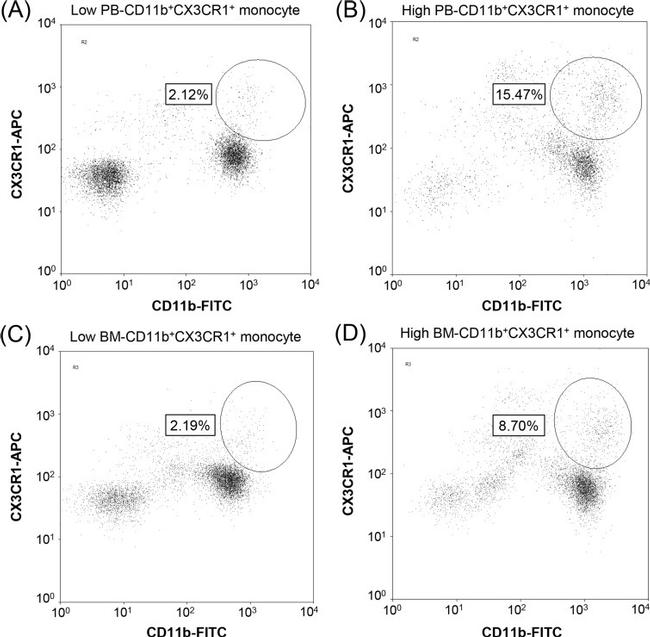 CD11b Antibody, PE (12-0118-42)