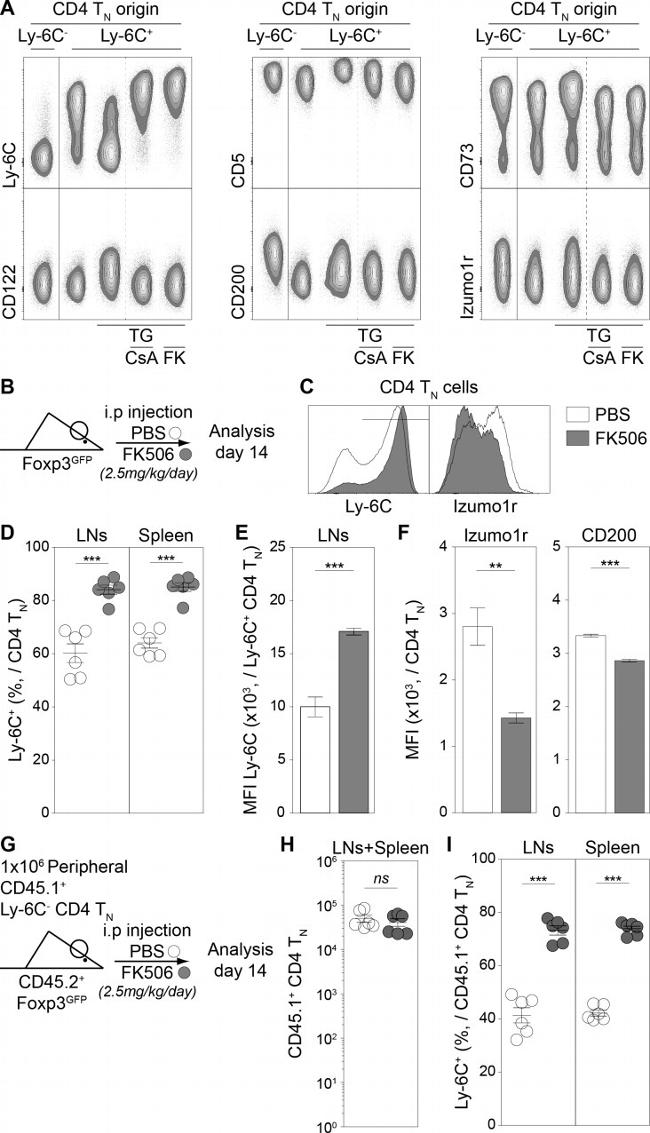 CD200 Antibody (14-5200-82)