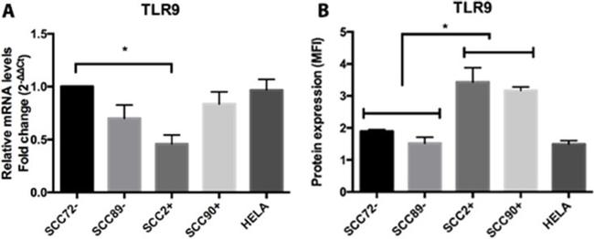 CD289 (TLR9) Antibody (14-9099-82)