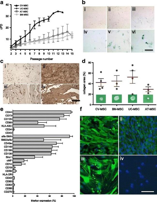 HLA-DR Antibody, FITC (11-9956-42)