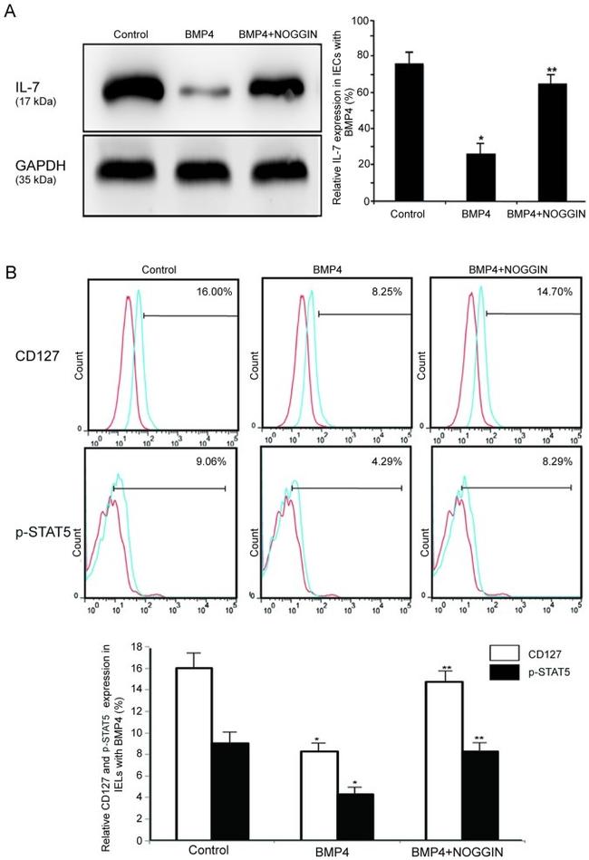CD127 Antibody, APC (17-1271-82)