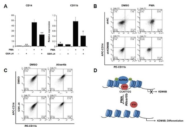 CD14 Antibody, Alexa Fluor™ 700 (56-0149-42)