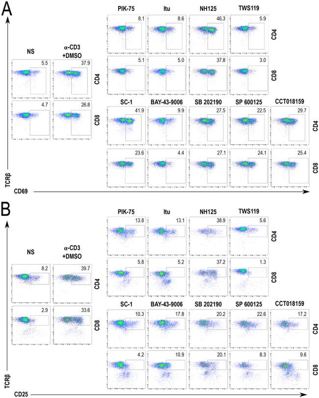 CD69 Antibody, eFluor™ 450 (48-0691-82)
