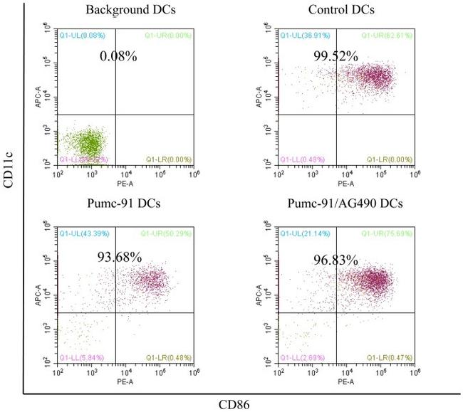 CD11c Antibody, FITC (11-0116-42)