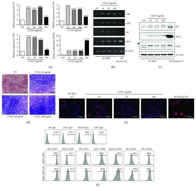 CD91 Antibody, PE (12-0919-42)