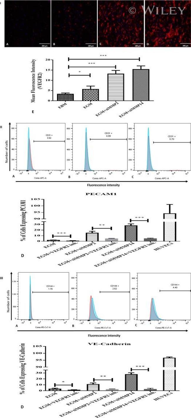 CD144 (VE-cadherin) Antibody (14-1449-82)
