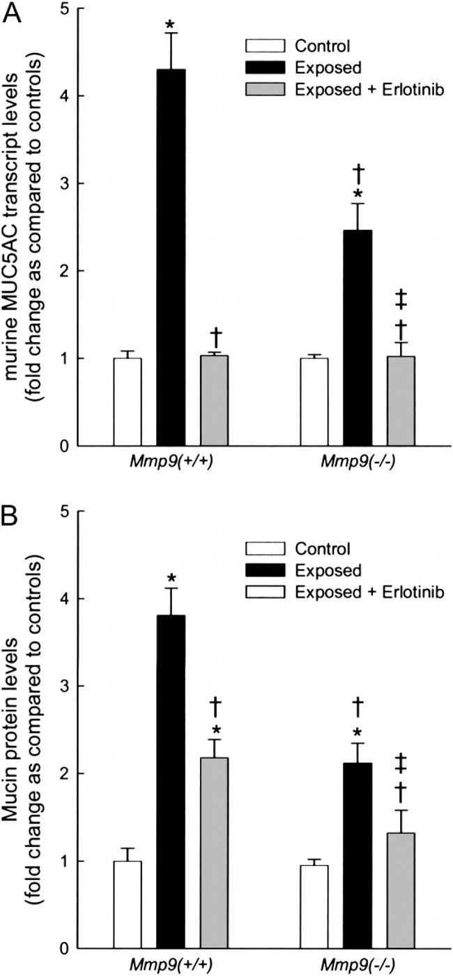 MUC5AC Antibody (MA5-12178)