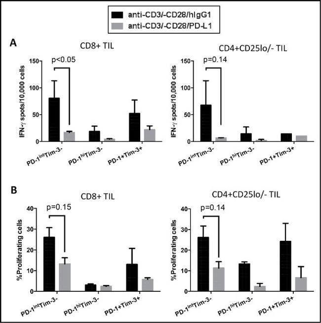 CD279 (PD-1) Antibody, FITC (11-9969-42)