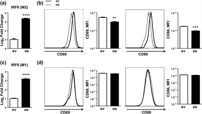 CD86 (B7-2) Antibody, FITC (11-0862-82)
