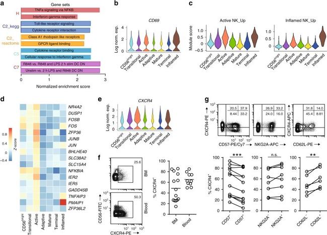 CD69 Antibody, PE-Cyanine7 (25-0699-42)