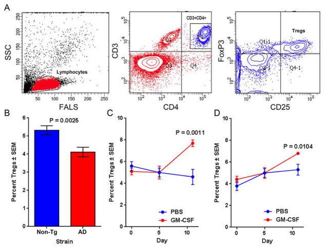 CD3e Antibody, PE (12-0031-82)