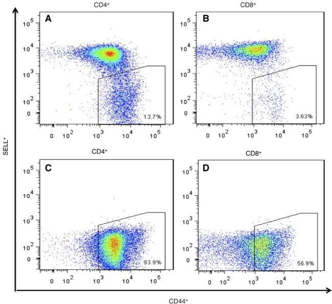 CD4 Antibody, PE-Cyanine7 (25-0042-82)