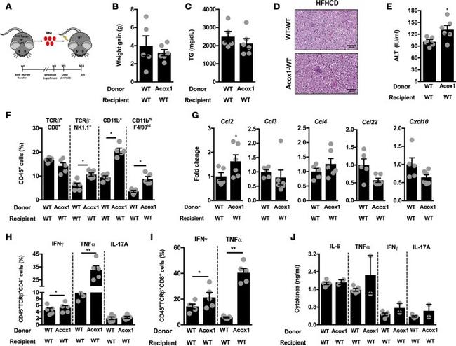 TNF alpha Antibody, eFluor™ 660 (50-7423-82)