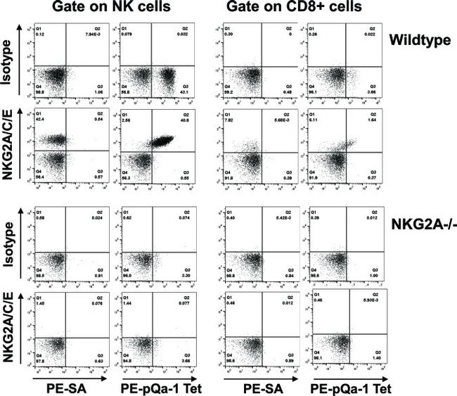 NKG2A/C/E Antibody, FITC (11-5896-82)
