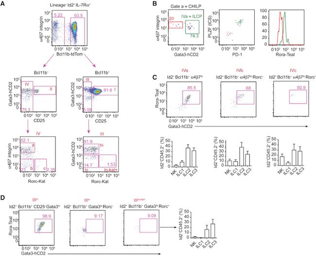CD25 Antibody, PE-Cyanine5.5 (35-0251-82)