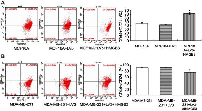 CD24 Antibody, PE (12-0247-42)