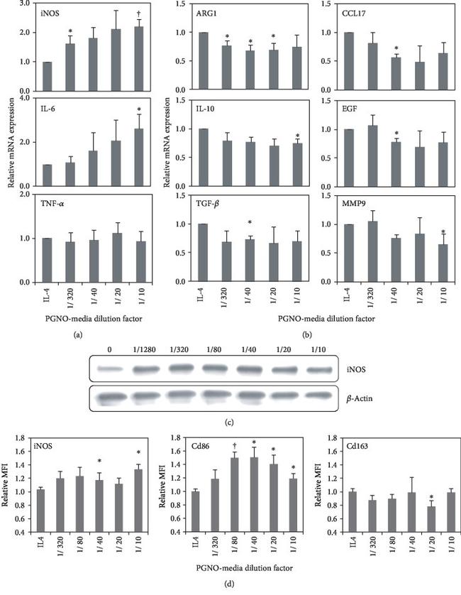 iNOS Antibody (14-5920-82)
