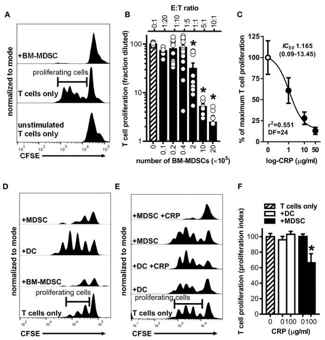 CD16/CD32 Antibody, Alexa Fluor™ 700 (56-0161-82)