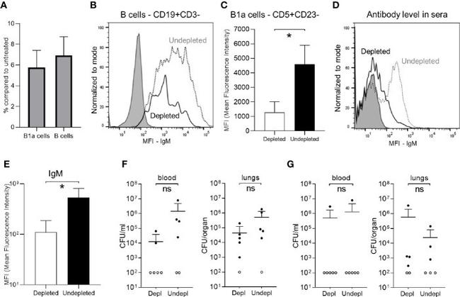 CD5 Antibody, PerCP-Cyanine5.5 (45-0051-82)