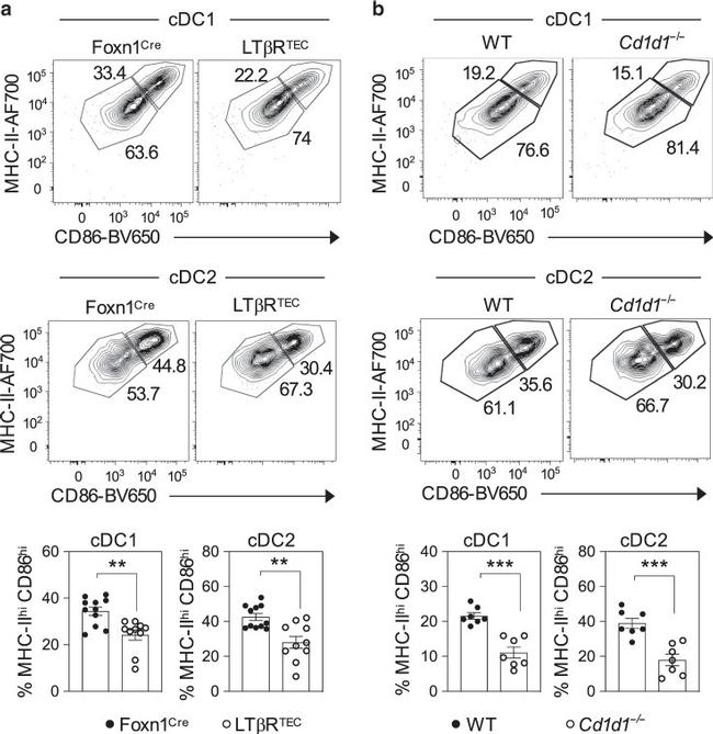 CD172a (SIRP alpha) Antibody, PerCP-eFluor™ 710 (46-1721-82)