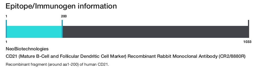 CD21 (Mature B-Cell and Follicular Dendritic Cell Marker) Recombinant ...