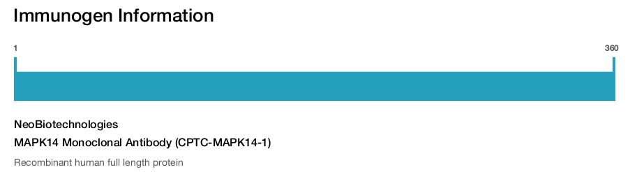 MAPK14 Monoclonal Antibody (CPTC-MAPK14-1) (1432-MSM1-P1ABX)