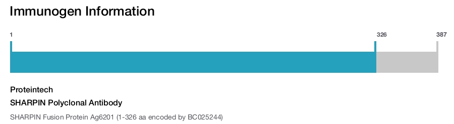 SHARPIN Polyclonal Antibody (14626-1-AP)