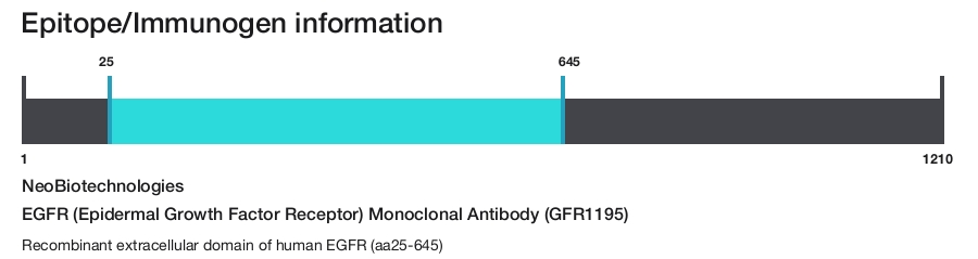 EGFR (Epidermal Growth Factor Receptor) Monoclonal Antibody (GFR1195 ...